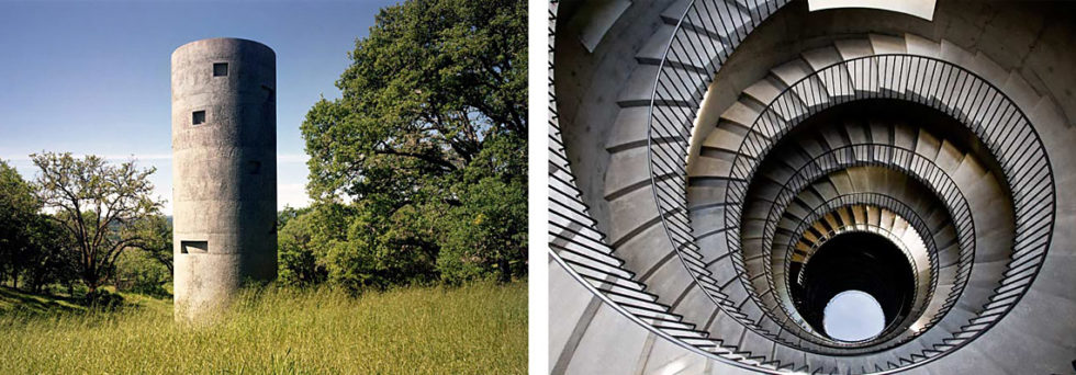 Ann Hamilton - Oliver Ranch Foundation