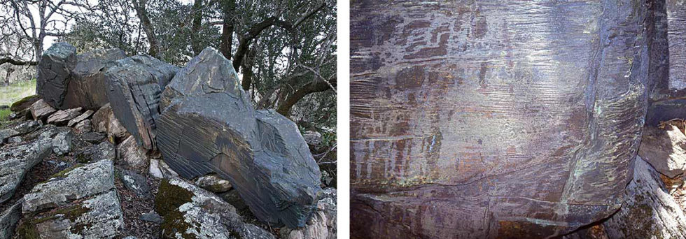 Dennis Leon - Oliver Ranch Foundation